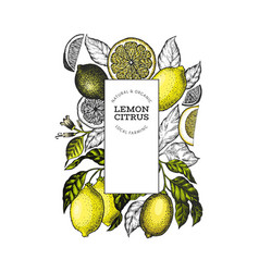 Lemon border drawing citrus fruit frame Royalty Free Vector