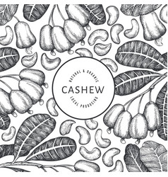 Hand drawn sketch cashew design template organic Vector Image