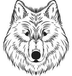 Black line wolf on white background hand drawn Vector Image