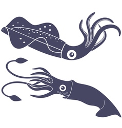 Squid Royalty Free Vector Image - VectorStock