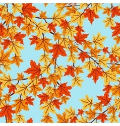 Autumn leaves seamless pattern Royalty Free Vector Image