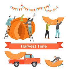 Farmer harvesting pumpkins Royalty Free Vector Image