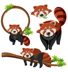 A panda clock character Royalty Free Vector Image