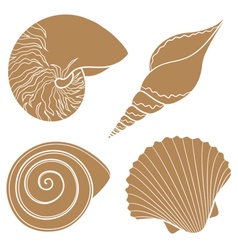 Nautilus shells Royalty Free Vector Image - VectorStock