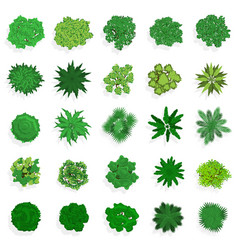 Cartoon trees and bushes green plants Royalty Free Vector