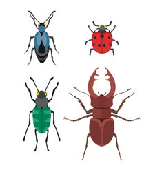 Insect icon flat isolated Royalty Free Vector Image