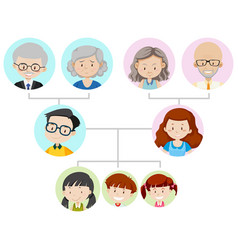 Diagram showing three generation family tree Vector Image